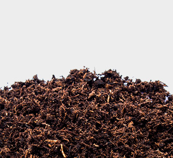 Peat Moss For Garden | Fasci Garden